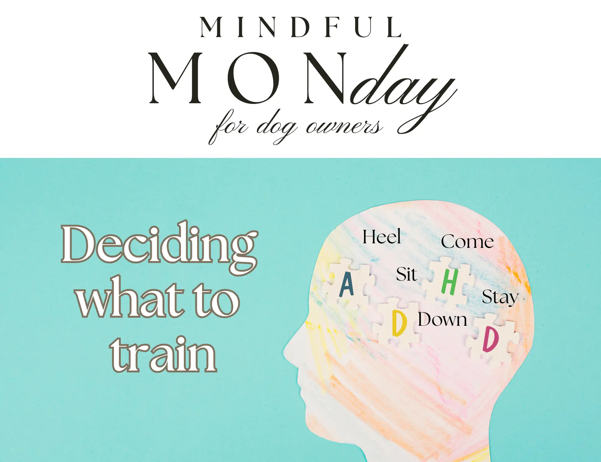 Simple ADHD Dog Training Goals: Staying Consistent