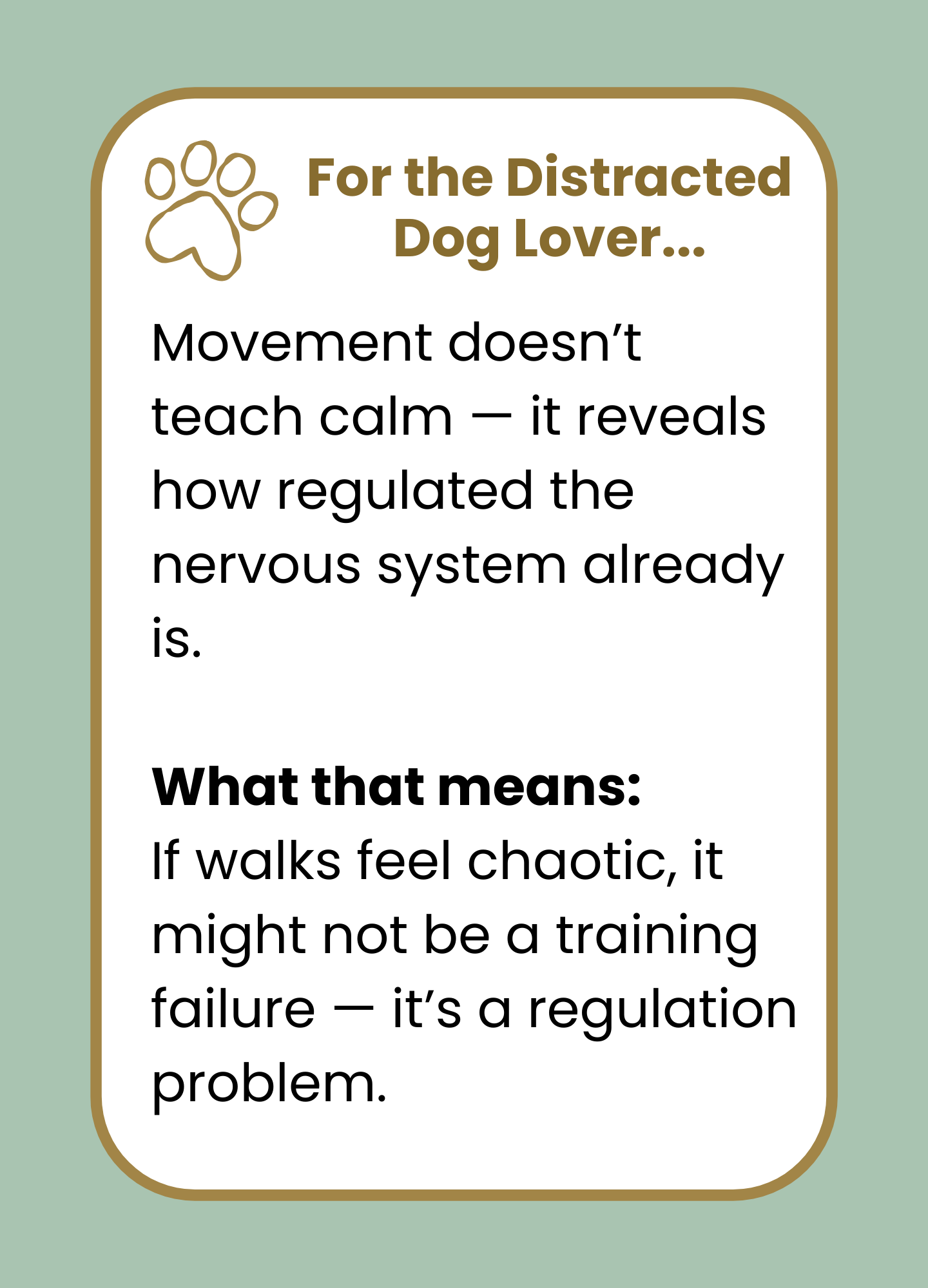 Movement Doesn’t Calm — It Activates - The Distracted Dog Lover